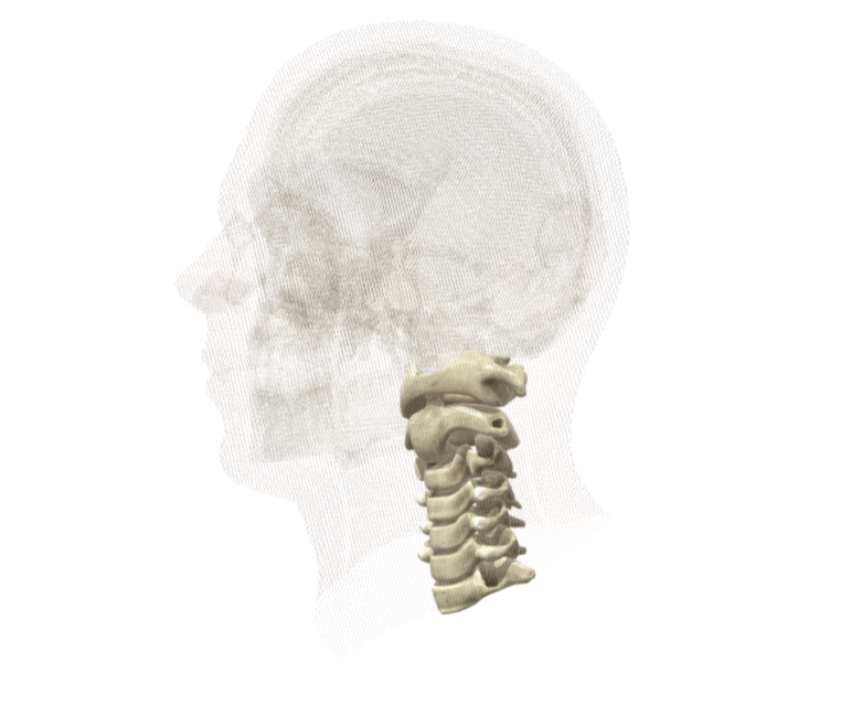 Encyclopedia - saVRee